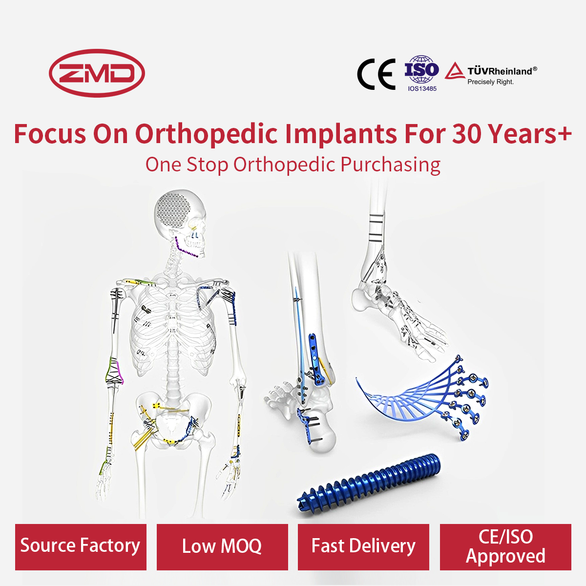 Multi-Axial Femoral Distal Locking Plate - Pharmaceutical Company